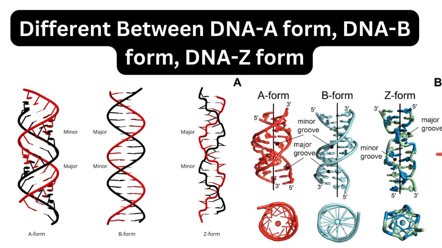 Difference between Biochemical Oxygen Demand (BOD) and Chemical Oxygen ...