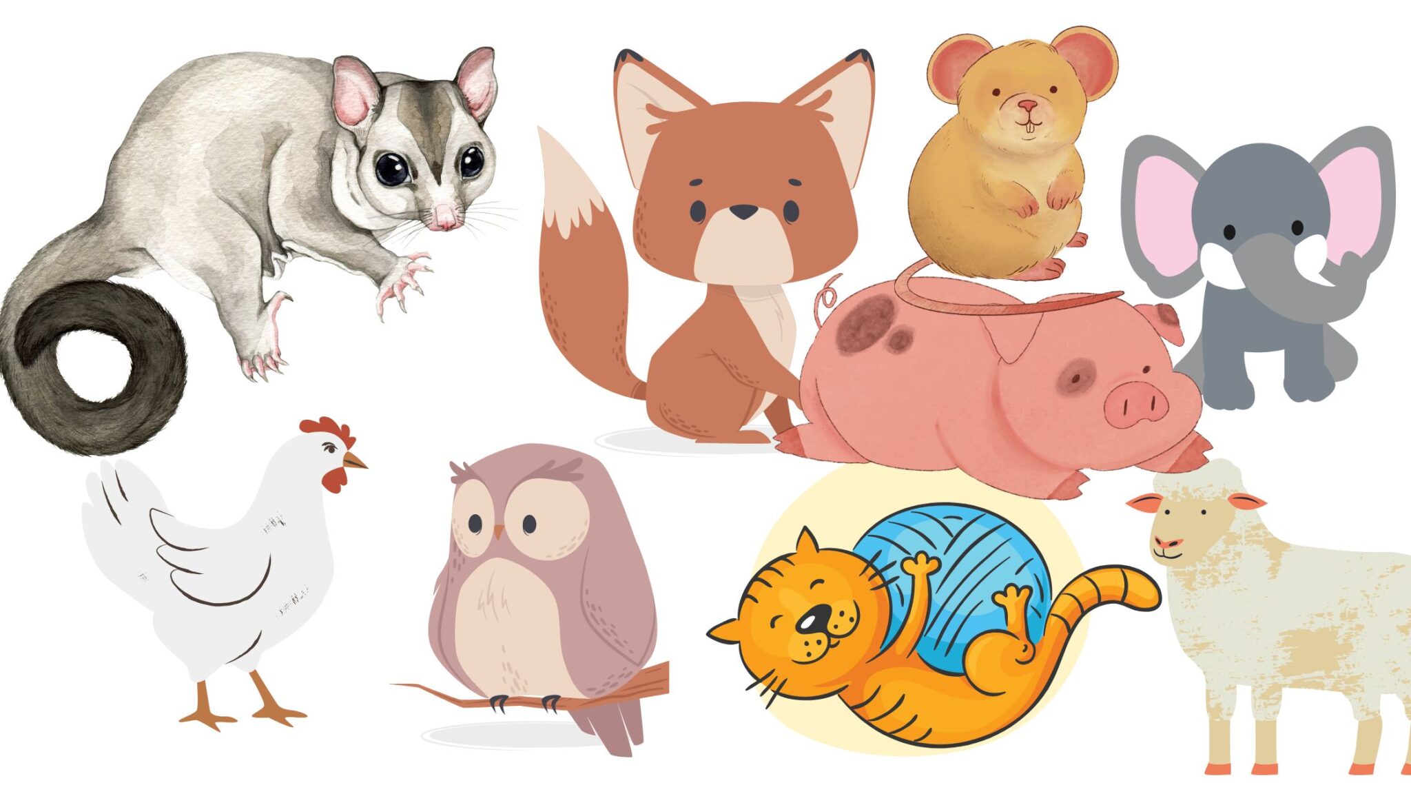 Animal Behaviour Archives - Biology Notes Online