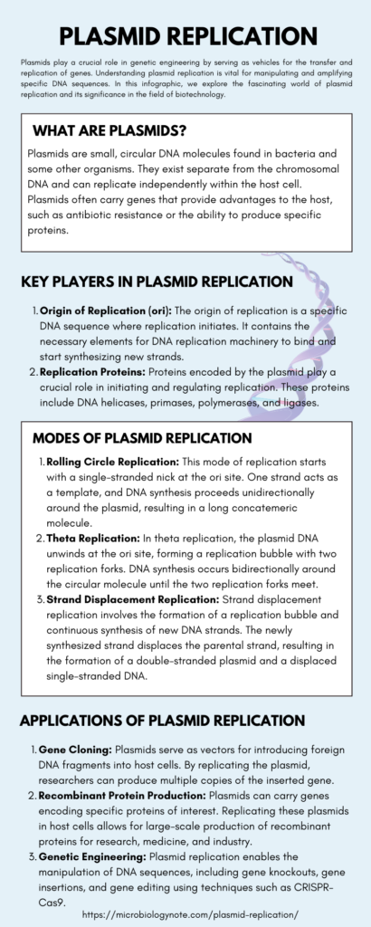 Plasmid Replication - Mechanism With Diagram - Biology Notes Online