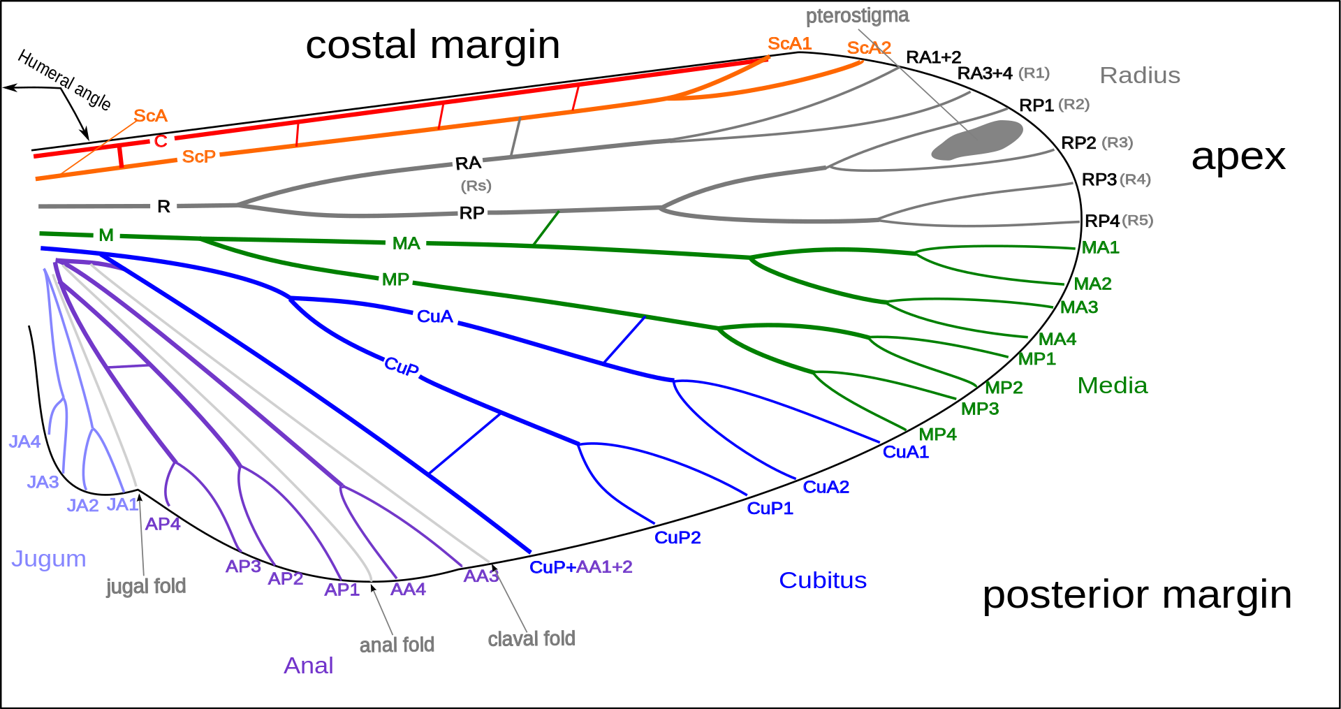 Insect Morphology (Morphology Of Pest) - Biology Notes Online