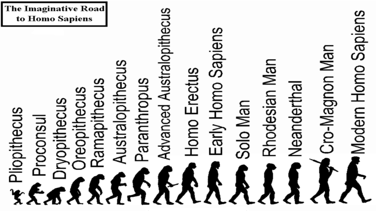 Natural Selection - Definition, Theory, Types, Examples - Biology Notes ... Natural Selection - Definition, Theory, Types, Examples - Biology Notes ...