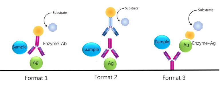 Competitive ELISA - Principle, Protocol, Applications - Biology Notes ...