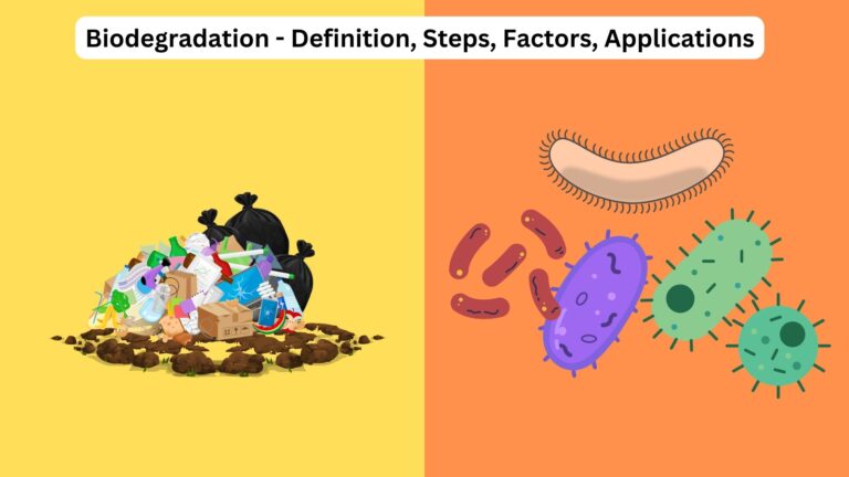 Bioremediation - Definition, Types, Application - Biology Notes Online