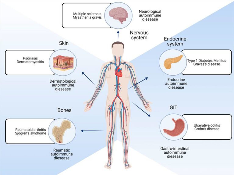 Immunity - Definition, Types, Mechanism, Components, and Immunization ...