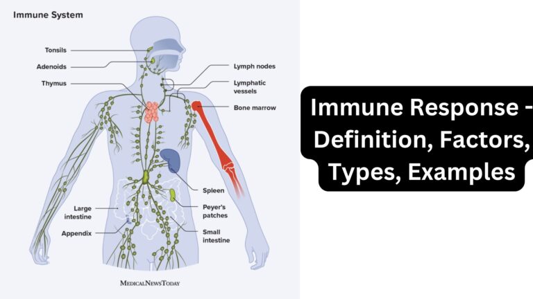 Antigen Presenting Cells (APCs) - Biology Notes Online