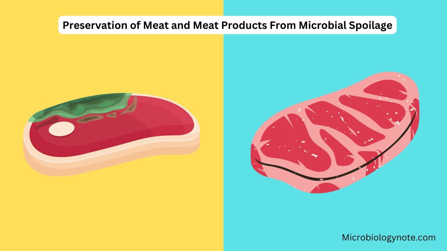 Microbial Spoilage of Canned foods And Its Preservation Methods ...