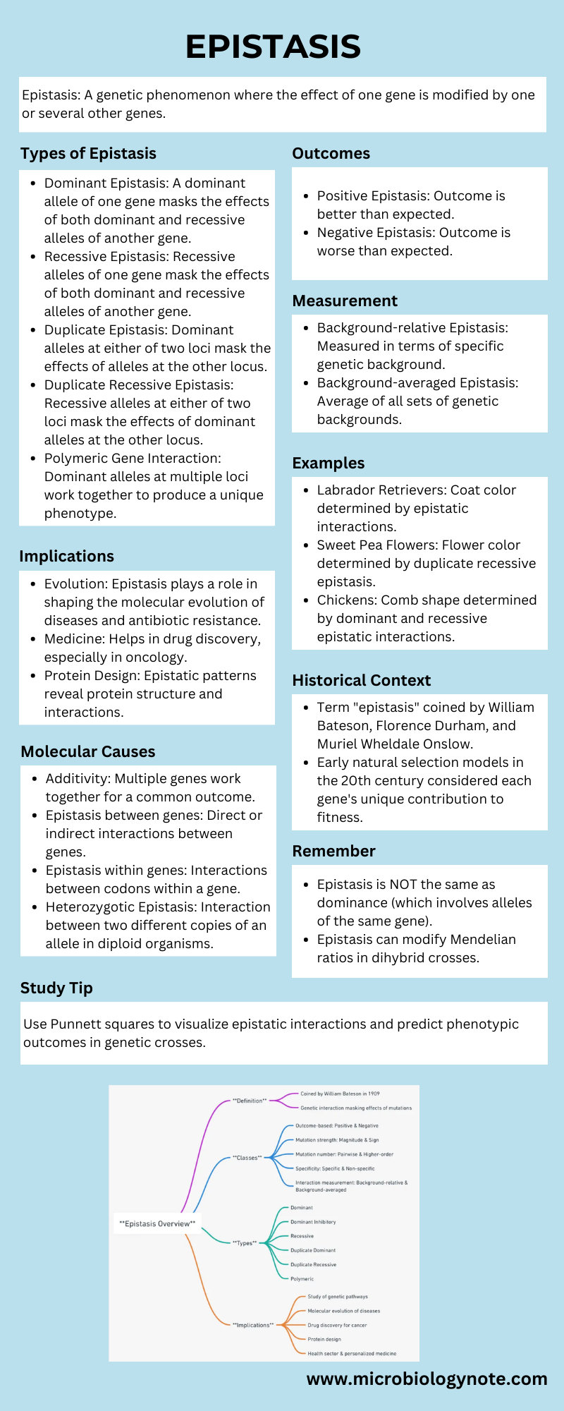 Epistasis - Definition, Causes, Types, Examples - Biology Notes Online