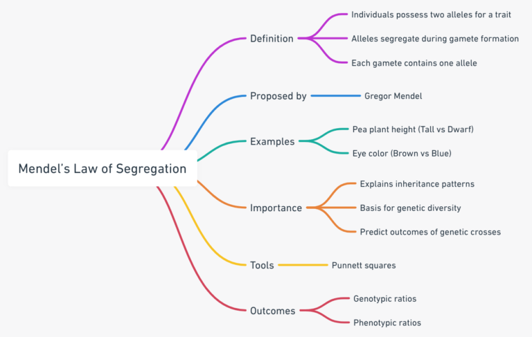 Somatic Mutation - Definition, Causes, Mechanism, Examples - Biology ...