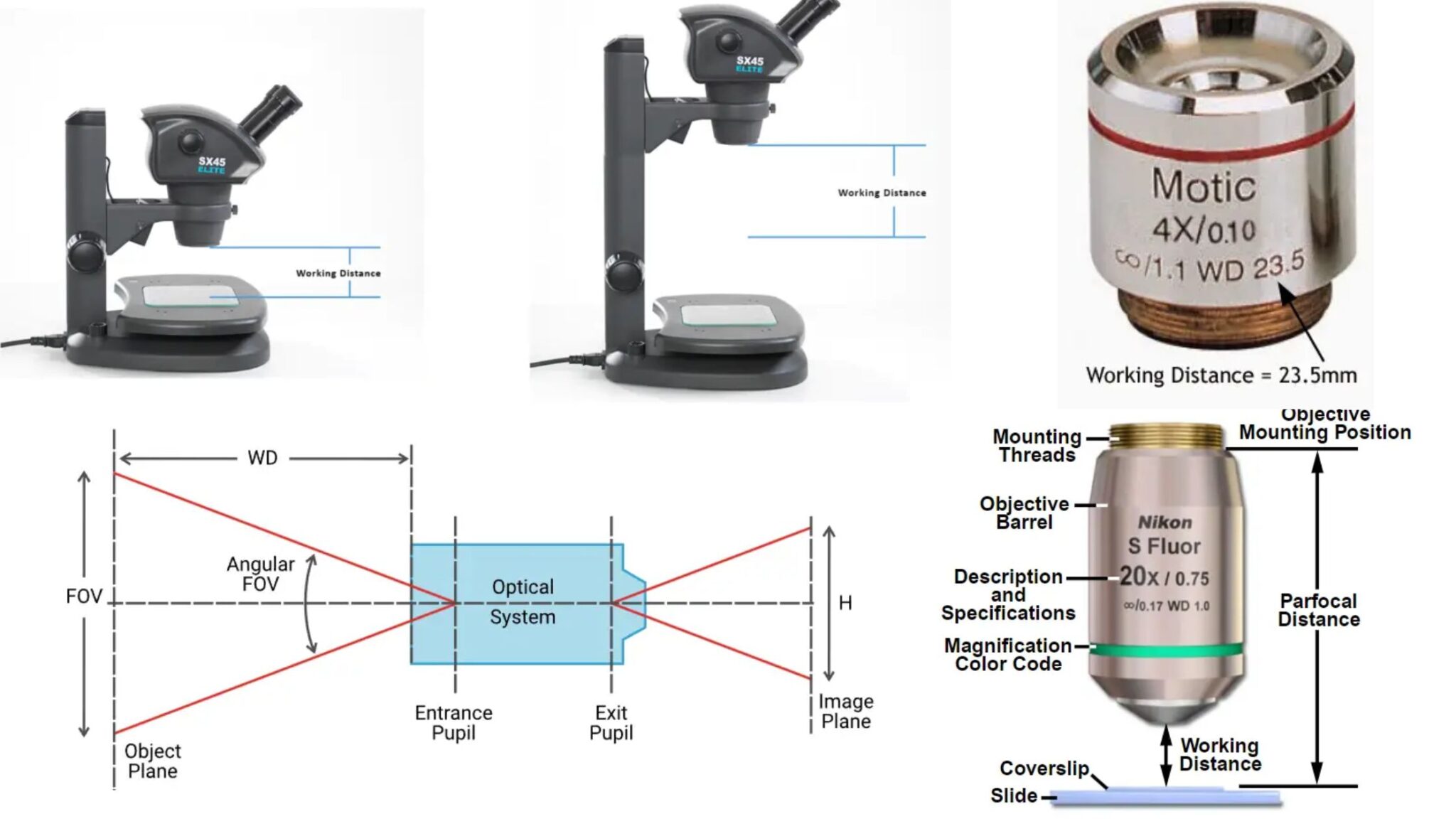 Coarse Adjustment and Fine Adjustment Knob of Microscope - Biology ...