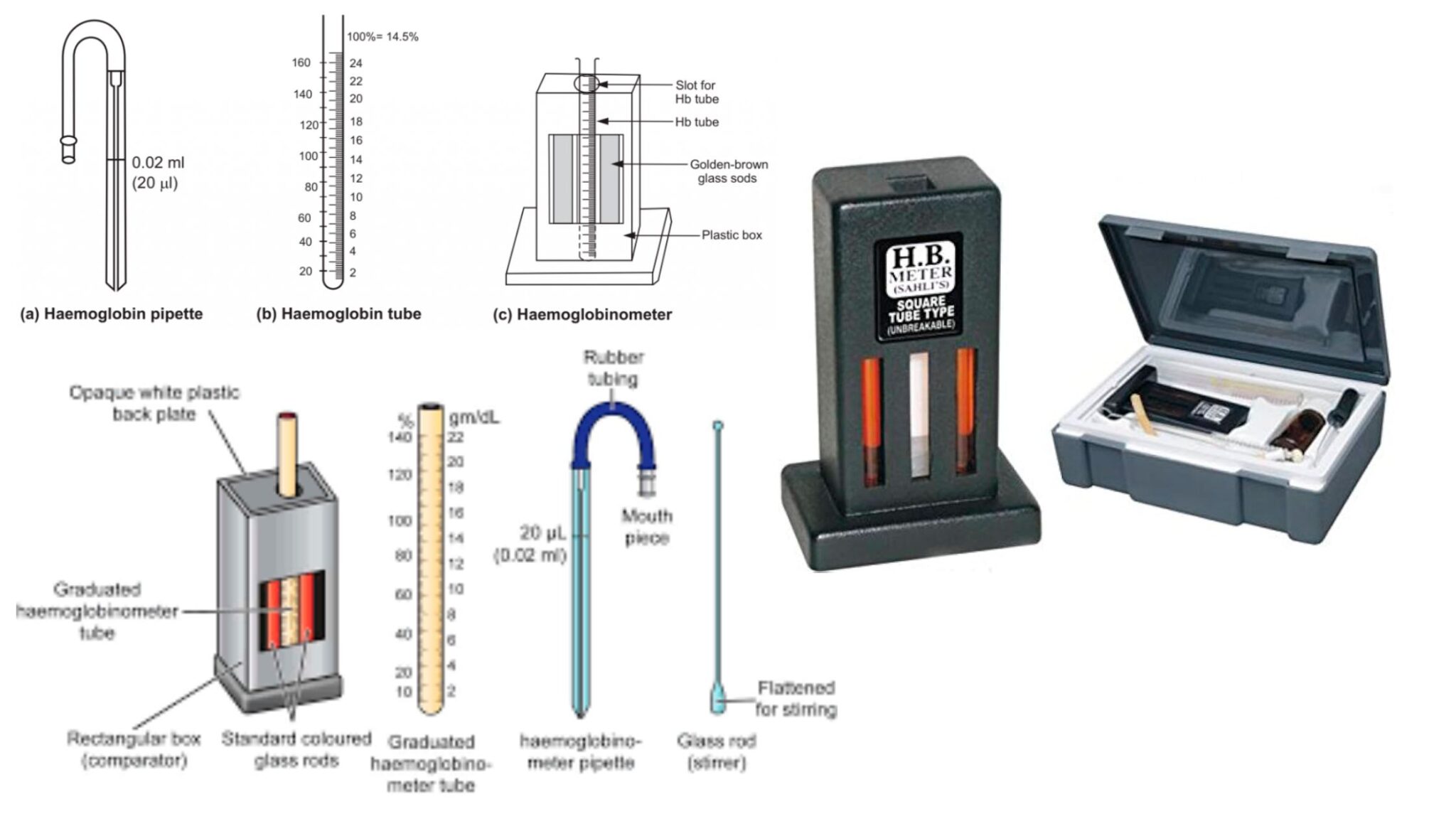 Blood Cross Matching - Principle, Procedure, Result. - Biology Notes Online