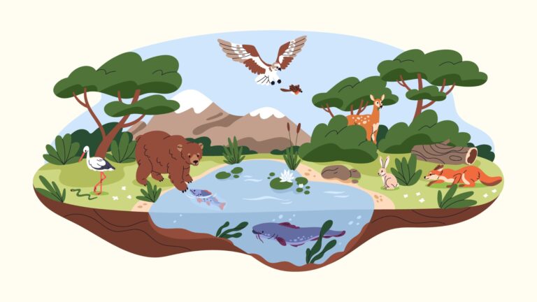 Ecological Succession - Definition, Types, Mechanism, Examples ...