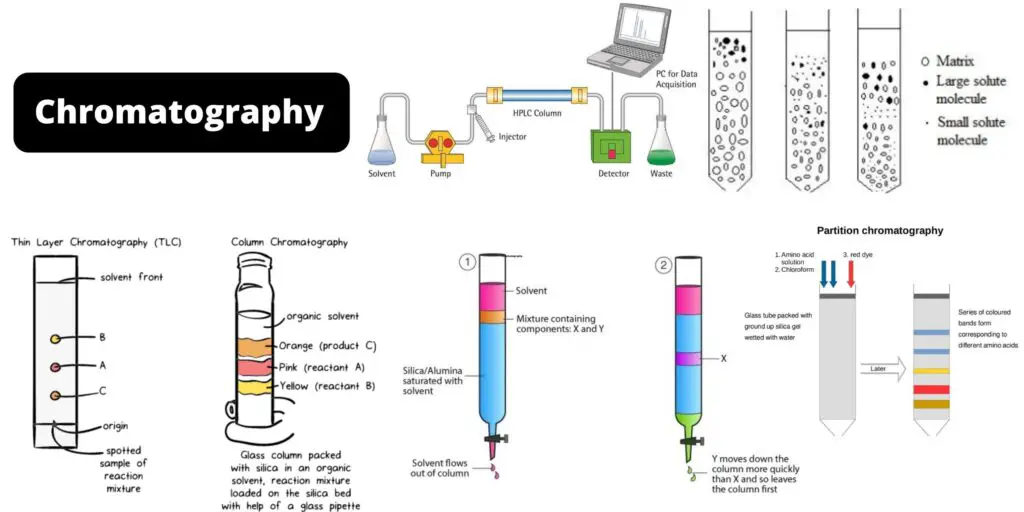 Chromatography - Principle, Types, Applications - Biology Notes Online Chromatography - Principle, Types, Applications - Biology Notes Online