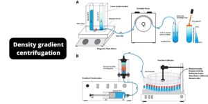 Parts of a Microscope and Their Functions - Biology Notes Online