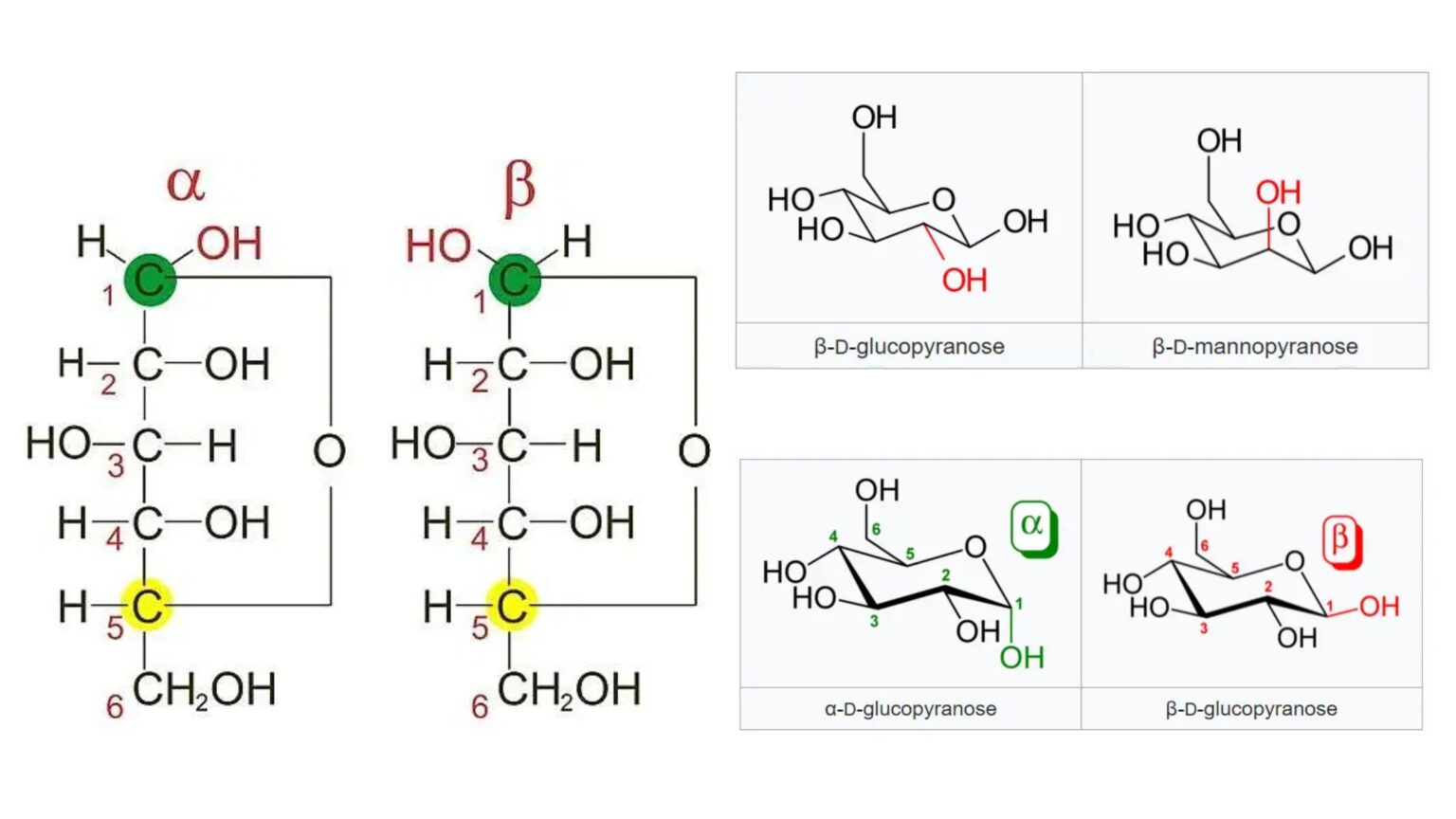 Isomerism Definition Types Examples Structures Biology Notes Online