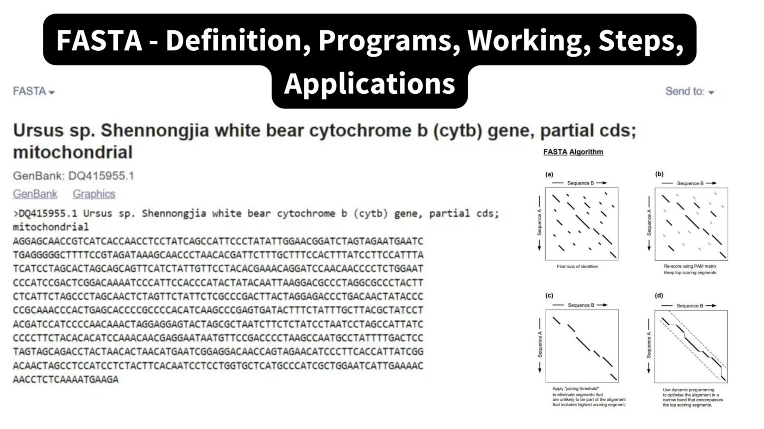 Databases In Bioinformatics Types Functions Examples Tools 8141