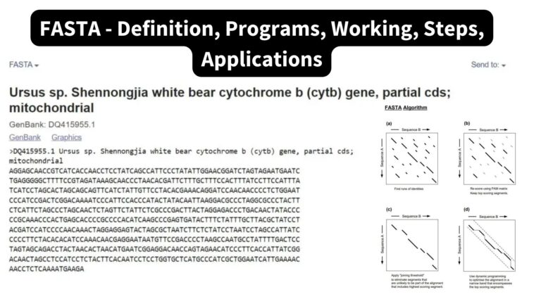Databases in Bioinformatics - Types, Functions, Examples, Tools ...