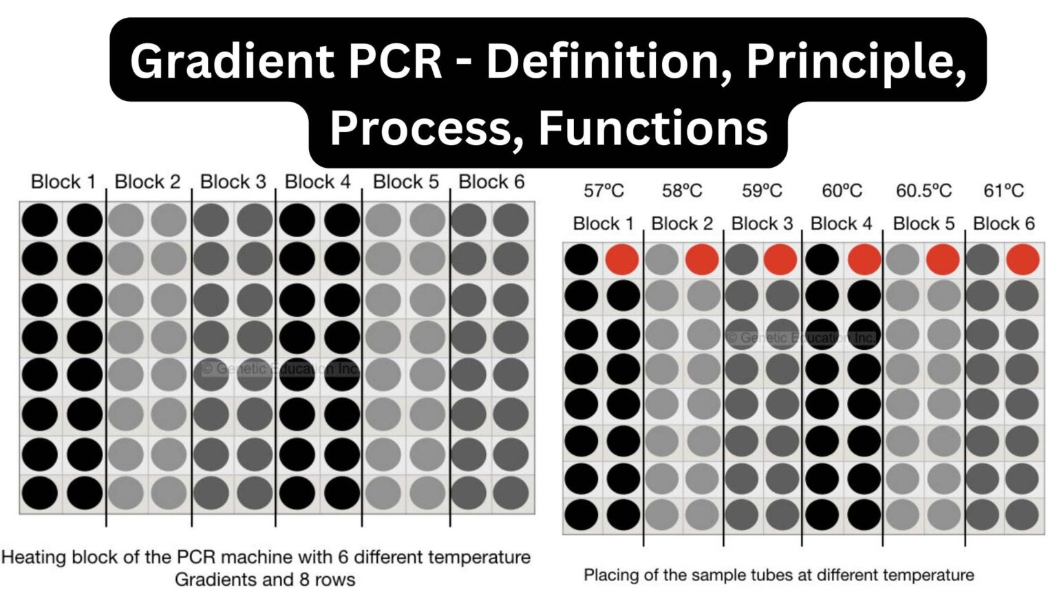 NMR Spectroscopy - Definition, Principle, Steps, Parts, Uses - Biology ...