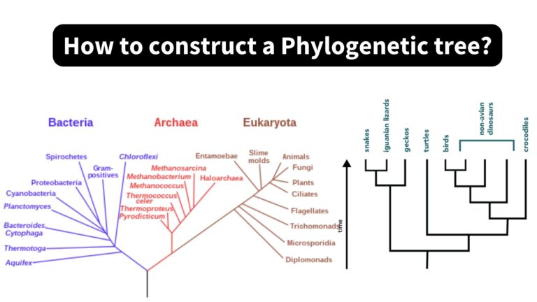 Bioinformatics - Definition, Introduction, Purpose, Applications ...