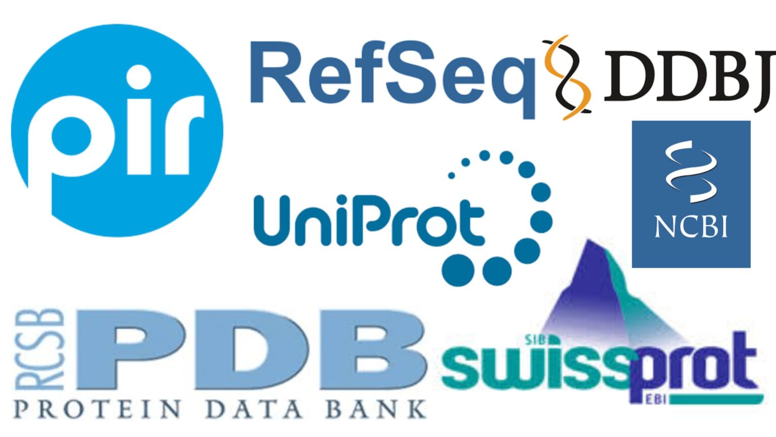 What is DNA Data Bank of Japan (DDBJ)? - Biology Notes Online