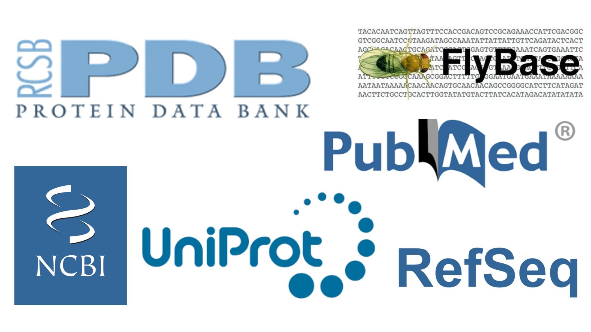 Bioinformatics - Biology Notes Online