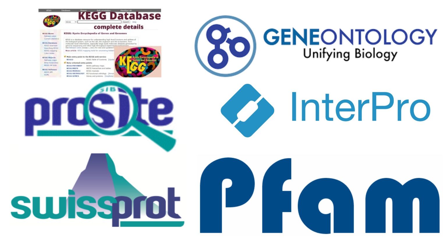 Gene Prediction - Definition, Methods, Importance - Biology Notes Online