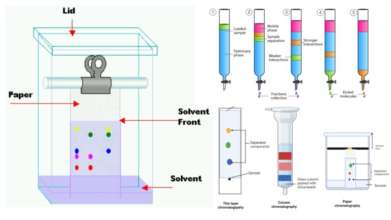Column Chromatography - Principle, Steps, Parts, Uses, Advantages ... Column Chromatography - Principle, Steps, Parts, Uses, Advantages ...