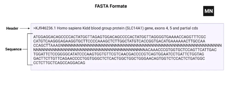 FASTA - Definition, Programs, Working, Steps, Applications - Biology ...