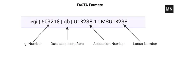 FASTA - Definition, Programs, Working, Steps, Applications - Biology ... FASTA - Definition, Programs, Working, Steps, Applications - Biology ...