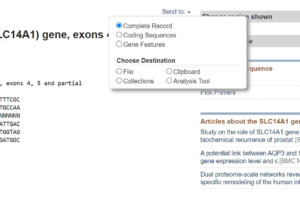 FASTA - Definition, Programs, Working, Steps, Applications - Biology ...