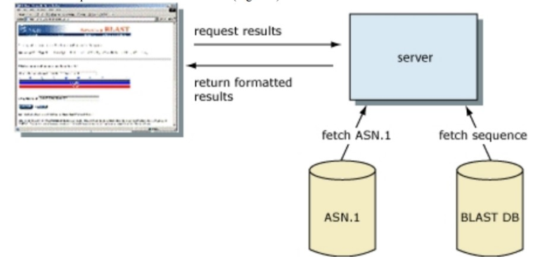 BLAST - Definition, Types, Characteristics, Outputs, Applications ...