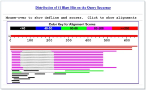 BLAST - Definition, Types, Characteristics, Outputs, Applications ...