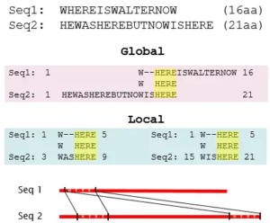 BLAST - Definition, Types, Characteristics, Outputs, Applications ...