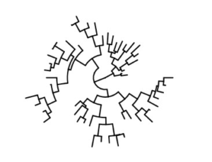 Phylogenetic Tree - Definition, Types, Steps, Methods, Uses - Biology ...