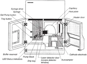DNA Analyzer - Principle, Parts, Operating, Applications - Biology ...