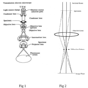 Transmission Electron Microscope (TEM) - Principle, Parts, Uses ...