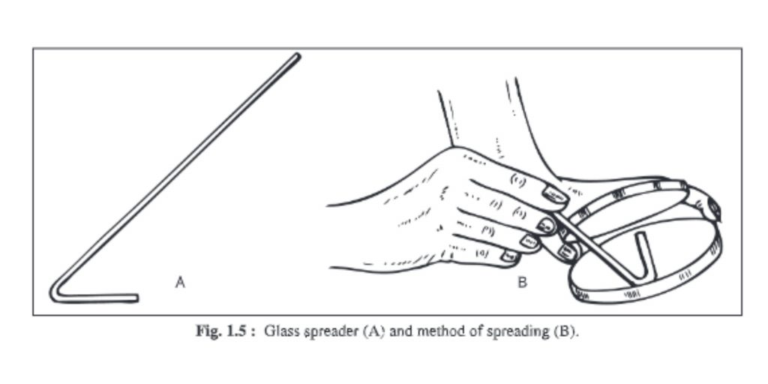 14 Common Glassware used in A Microbiology Laboratory - Biology Notes ...