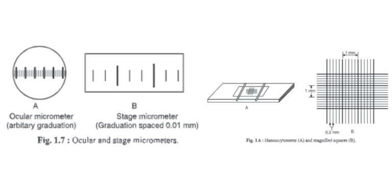 14 Common Glassware used in A Microbiology Laboratory - Biology Notes ...