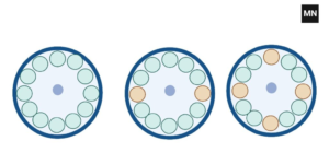 Centrifuge - Principle, Parts, Types, Applications - Biology Notes Online