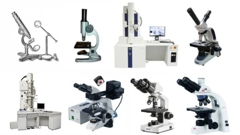Types of Microscopes With Definitions, Principle, Uses, Labeled ...