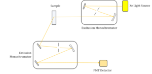 Fluorescence Spectrophotometry - Principle, Parts, Advantages, Uses ...