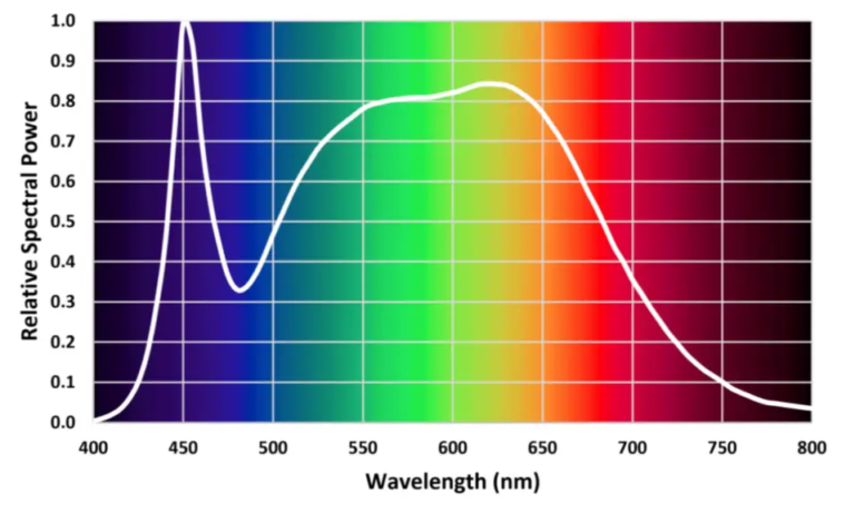 Photosynthesis - Definition, Steps, Equation, Process, Diagram ...