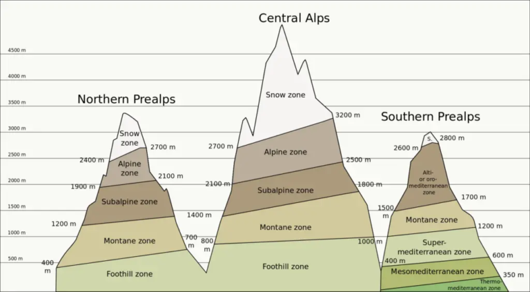Altitudinal Zonation - Definition, Factors, Importance, Examples ...