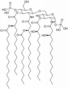 Lipopolysaccharide (LPS) - Structure, Functions - Biology Notes Online