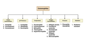 Extremophiles - Definition, Classification, Examples - Biology Notes Online