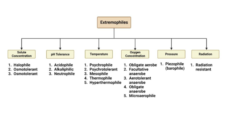 Extremophiles - Definition, Classification, Examples - Biology Notes Online