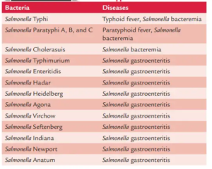 Salmonellosis - Food Infection and Food Poisoning by Salmonella ...