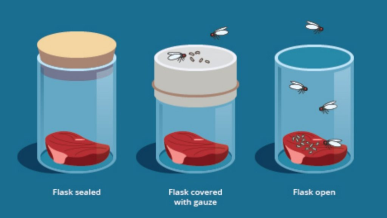 Spontaneous Generation - Definition, Experiments, Importance - Biology ...