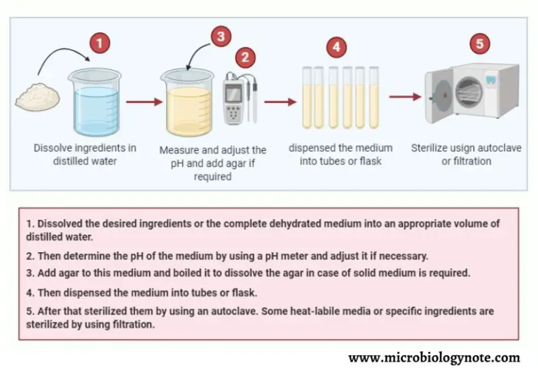Culture Medium - Definition, Preparation, Classification - Biology ...