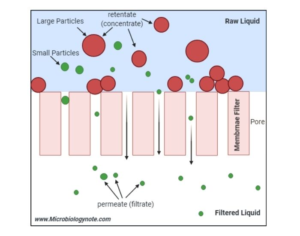 Membrane Filtration Method - Types, Advantages, Disadvantages ...