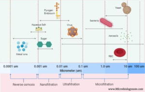 Membrane Filtration Method - Types, Advantages, Disadvantages ...